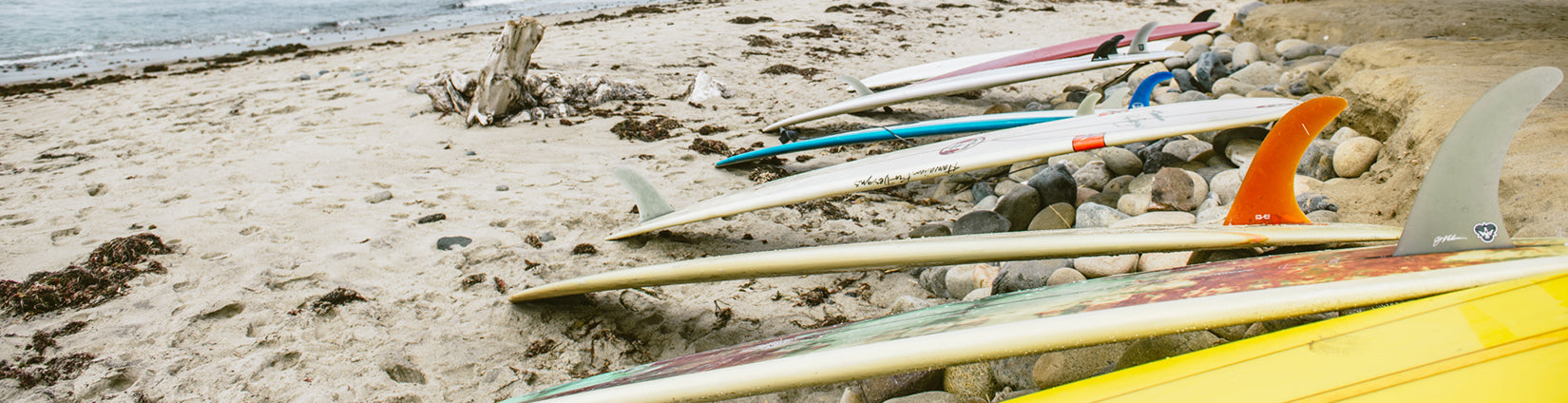 Dazzling Blue #145: Salty Sensations with Kassia Meador and Leah Dawso ...