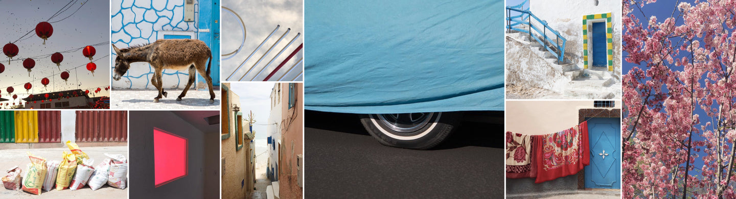 Custom Spotlight #5: Shannon Roxanne – Birdwell